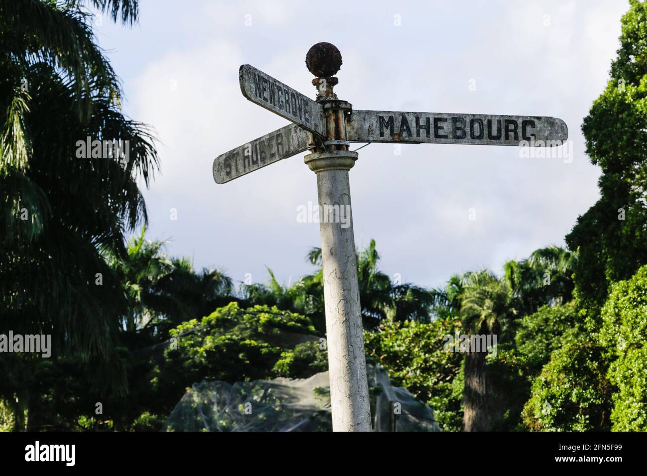 Saint Hubert in Mauritius Stock Photo - Alamy