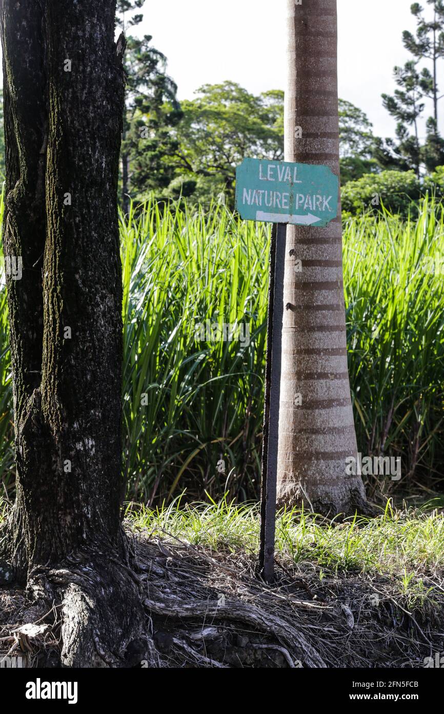 Saint Hubert in Mauritius Stock Photo - Alamy