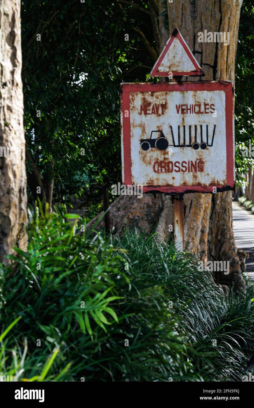 Saint Hubert in Mauritius Stock Photo - Alamy