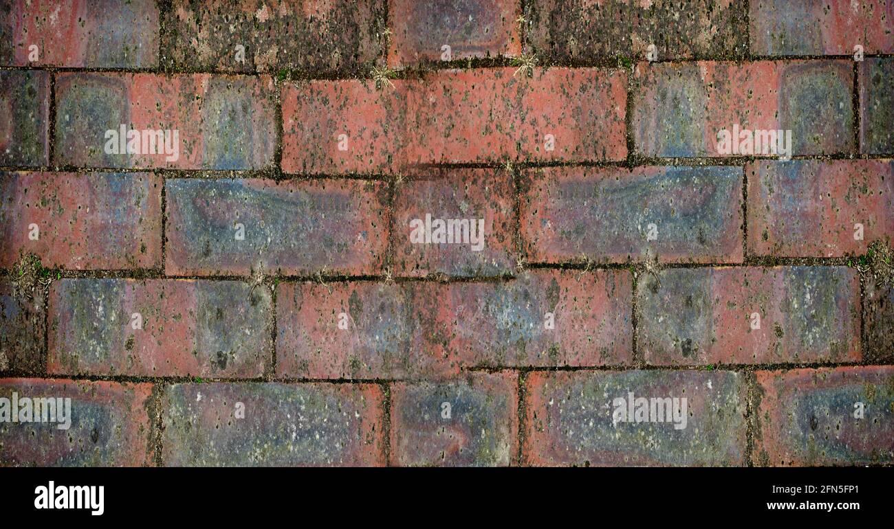 Close-up view of a mix color brick wall, backgrounds and urban concepts ...