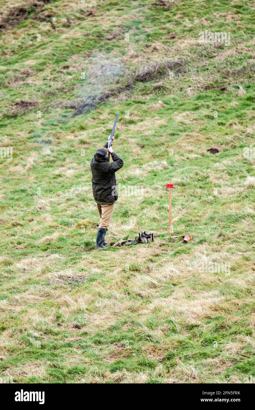 A gun in action during a pheasant and partridge driven shoot on an ...
