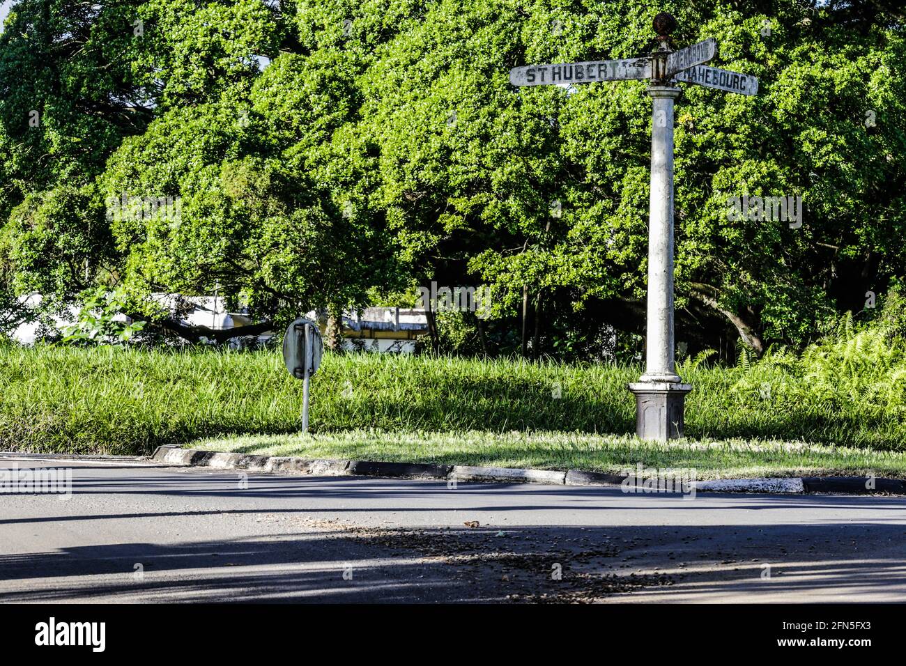 Saint Hubert in Mauritius Stock Photo - Alamy