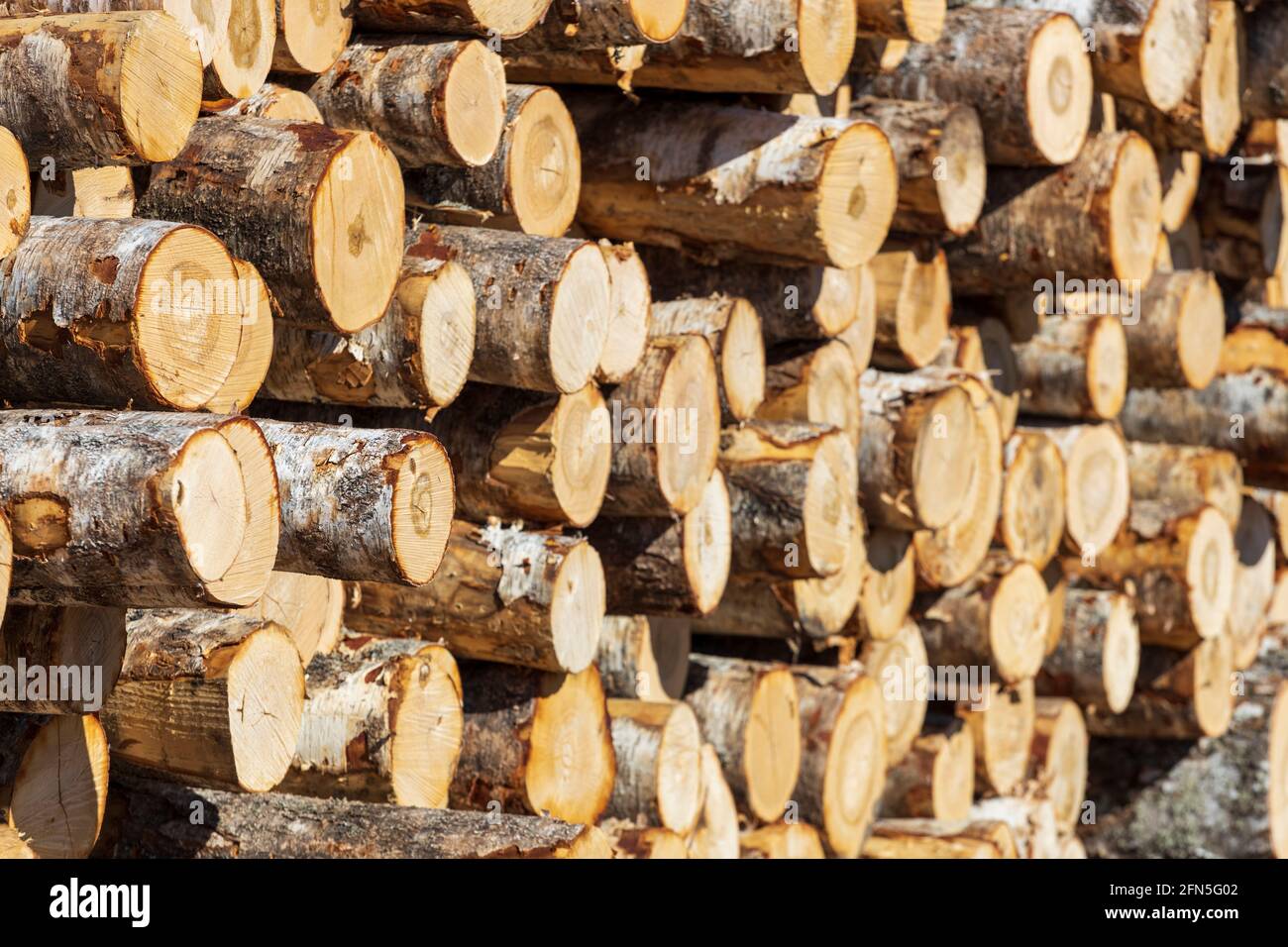 piles of logs lie outdoors. Timber warehouse. High quality photo Stock ...