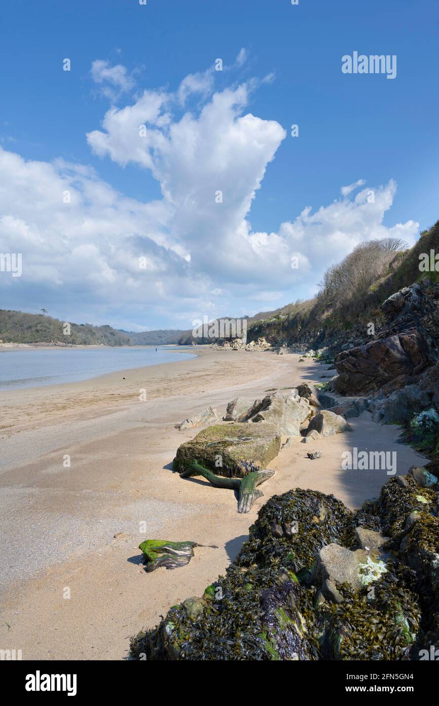 Wonwell beach hi-res stock photography and images - Alamy