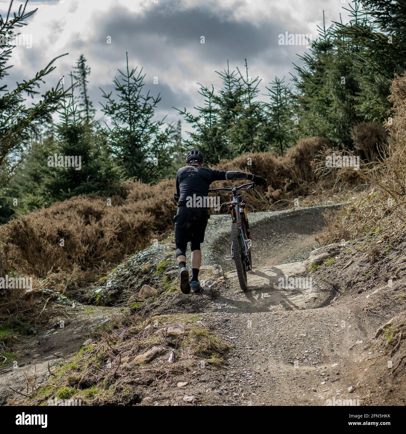 Back view of a mountain biker walking with his bike on a forest trail ...