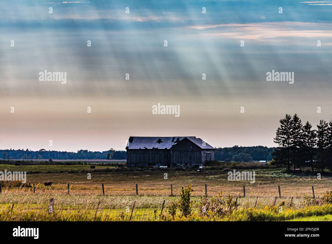 House in rural canada hi-res stock photography and images - Alamy
