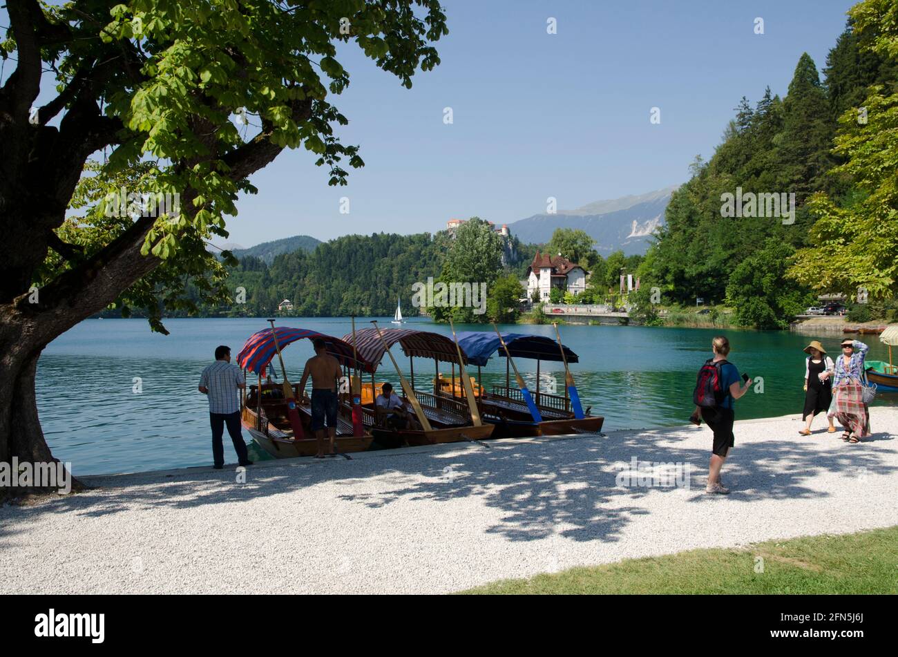 Bohinj bled hi-res stock photography and images - Alamy