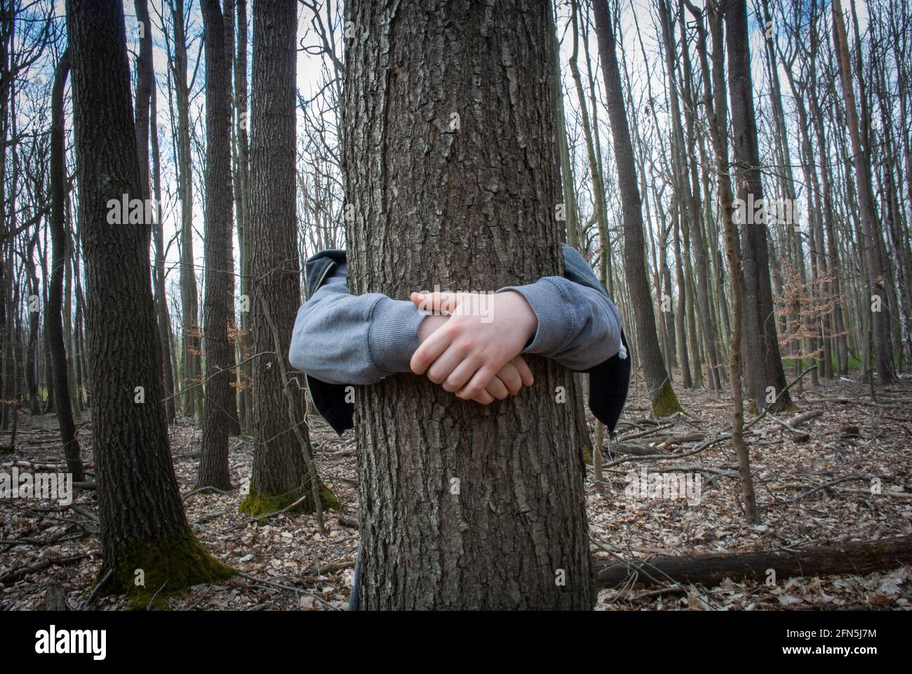 Tree hugging hi-res stock photography and images - Alamy