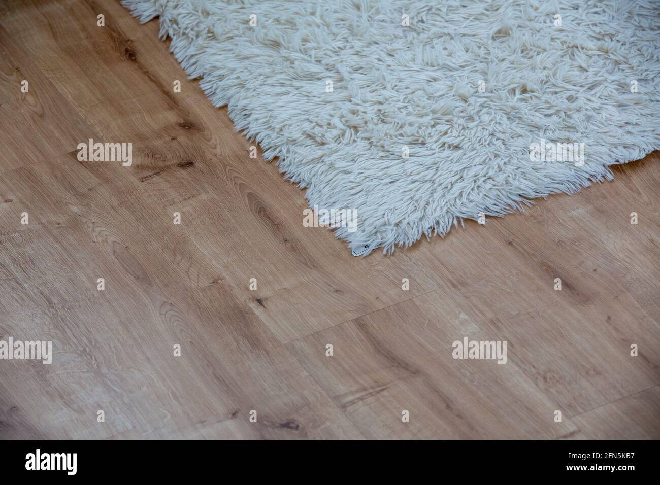 Parquet floor rug hi-res stock photography and images - Alamy