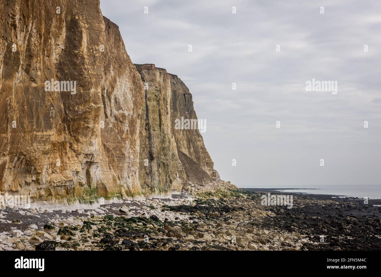 The chalk cliffs and under-cliff between Peacehaven and Newhaven in ...
