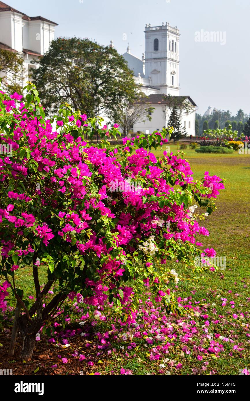 Old Goa, Panjim, Panaji, Goa, India Stock Photo - Alamy