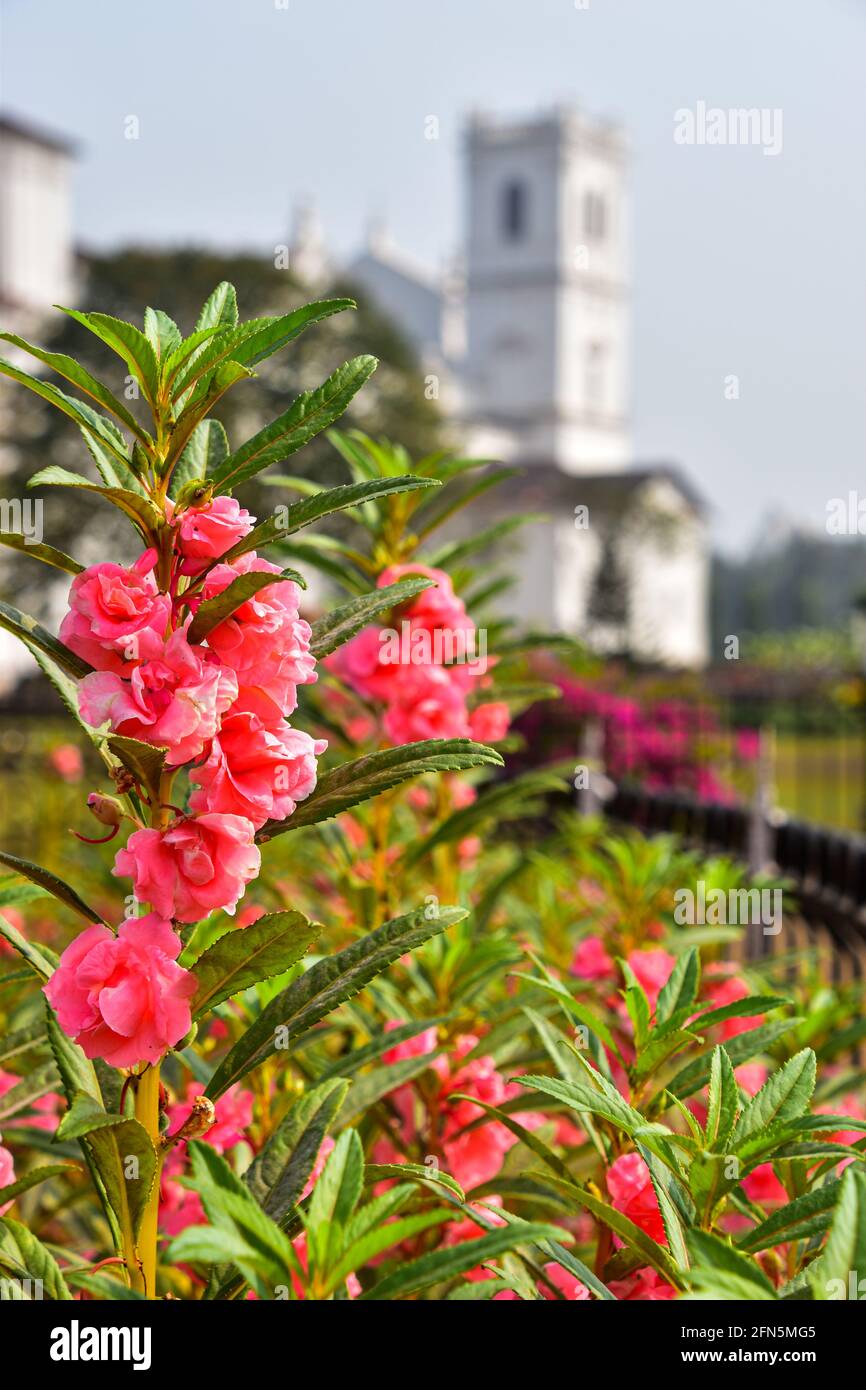 Old Goa, Panjim, Panaji, Goa, India Stock Photo - Alamy