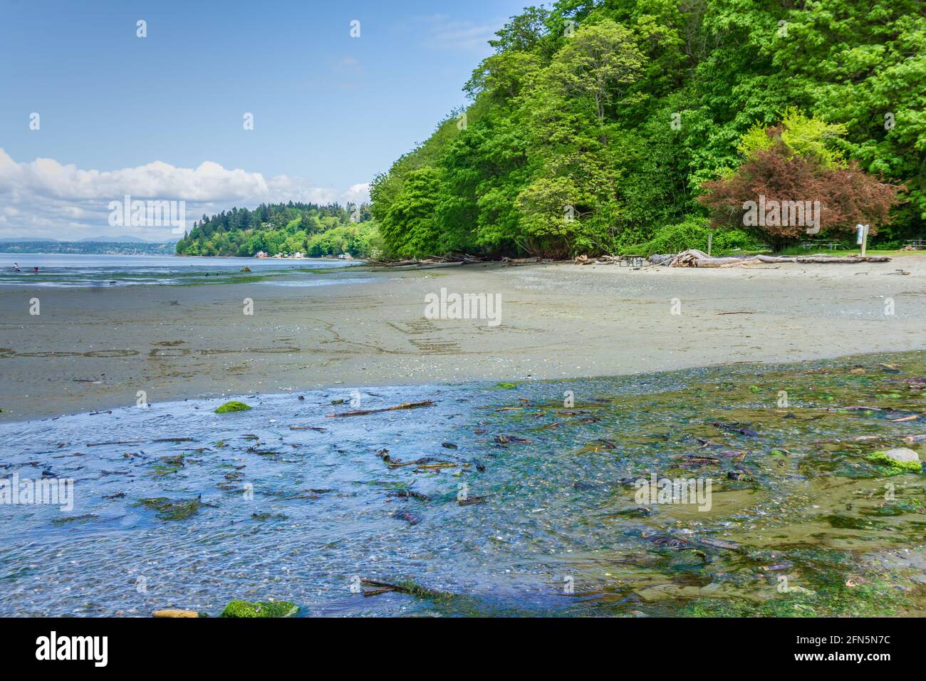 Dash point park hi-res stock photography and images - Alamy