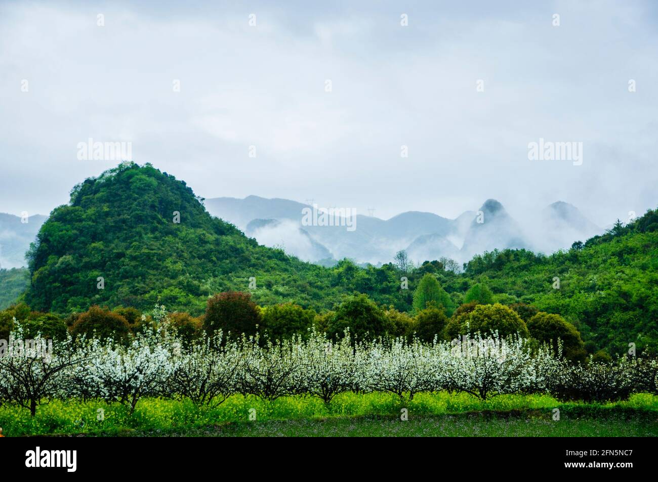 Mountain scenery in spring Stock Photo - Alamy