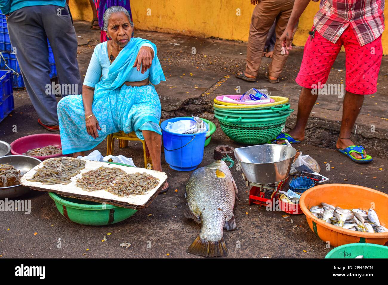 Fish market panaji goa india hi-res stock photography and images - Alamy