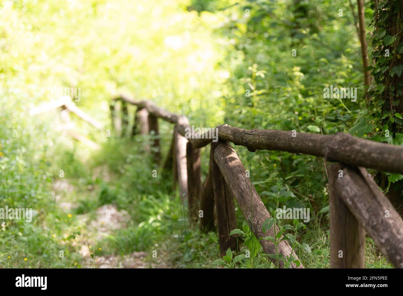 Wooden railing made of old wood. A forest path descends into a ravine ...