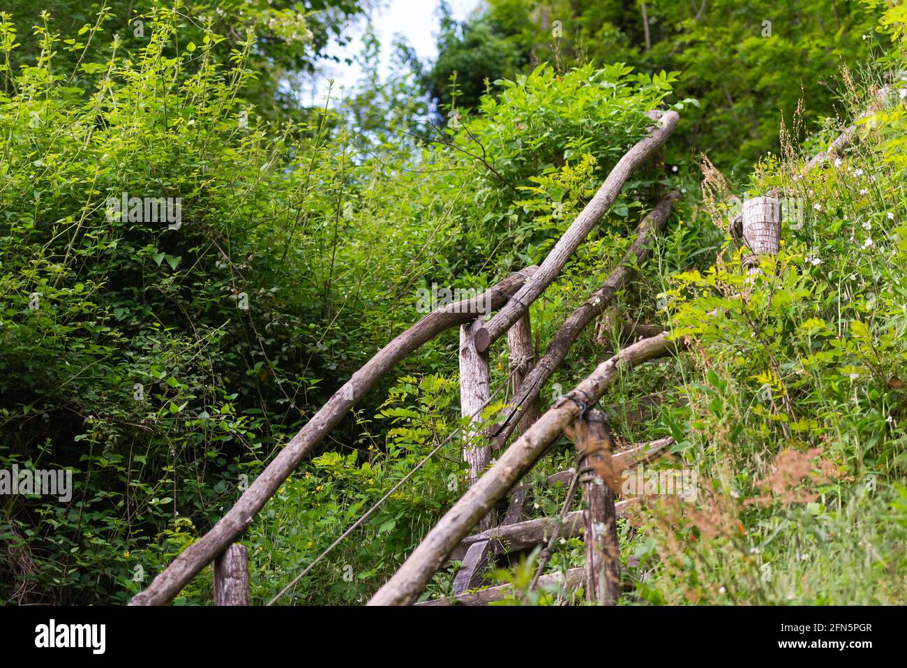 Wooden railing made of old wood. A forest path descends into a ravine ...