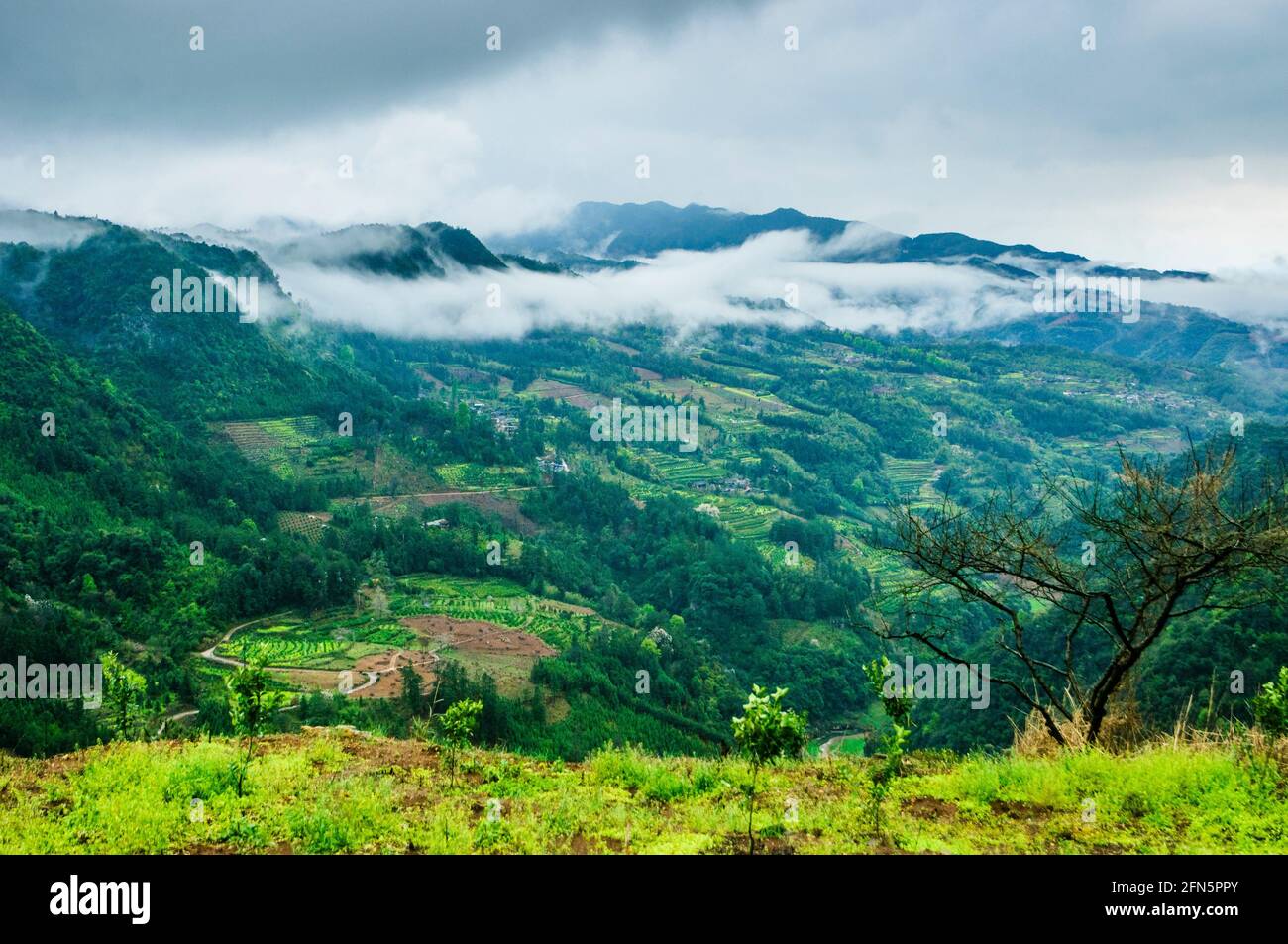 Mountain scenery in spring Stock Photo - Alamy