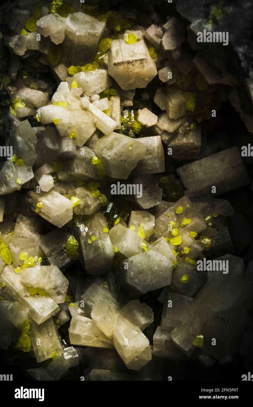 Photos Of Calcium High Resolution Stock Photography and Images - Alamy