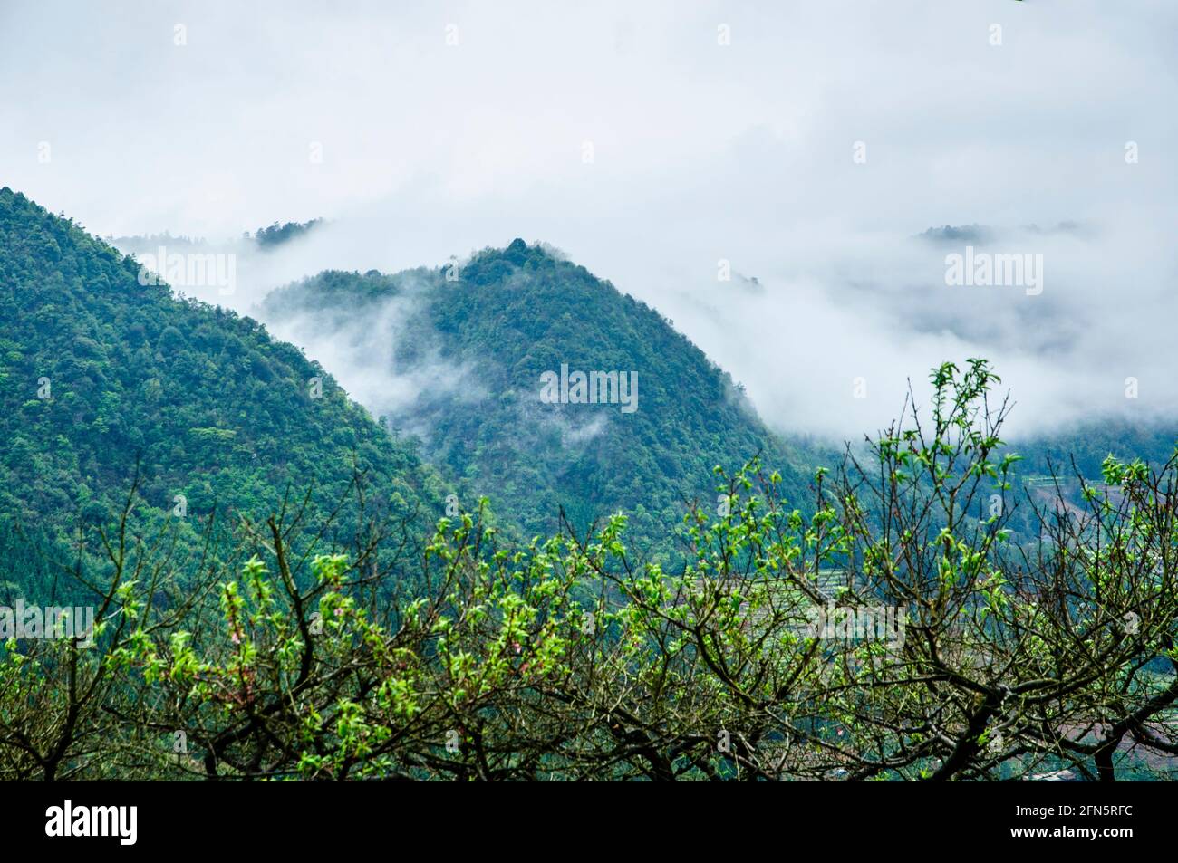Mountain scenery in spring Stock Photo - Alamy