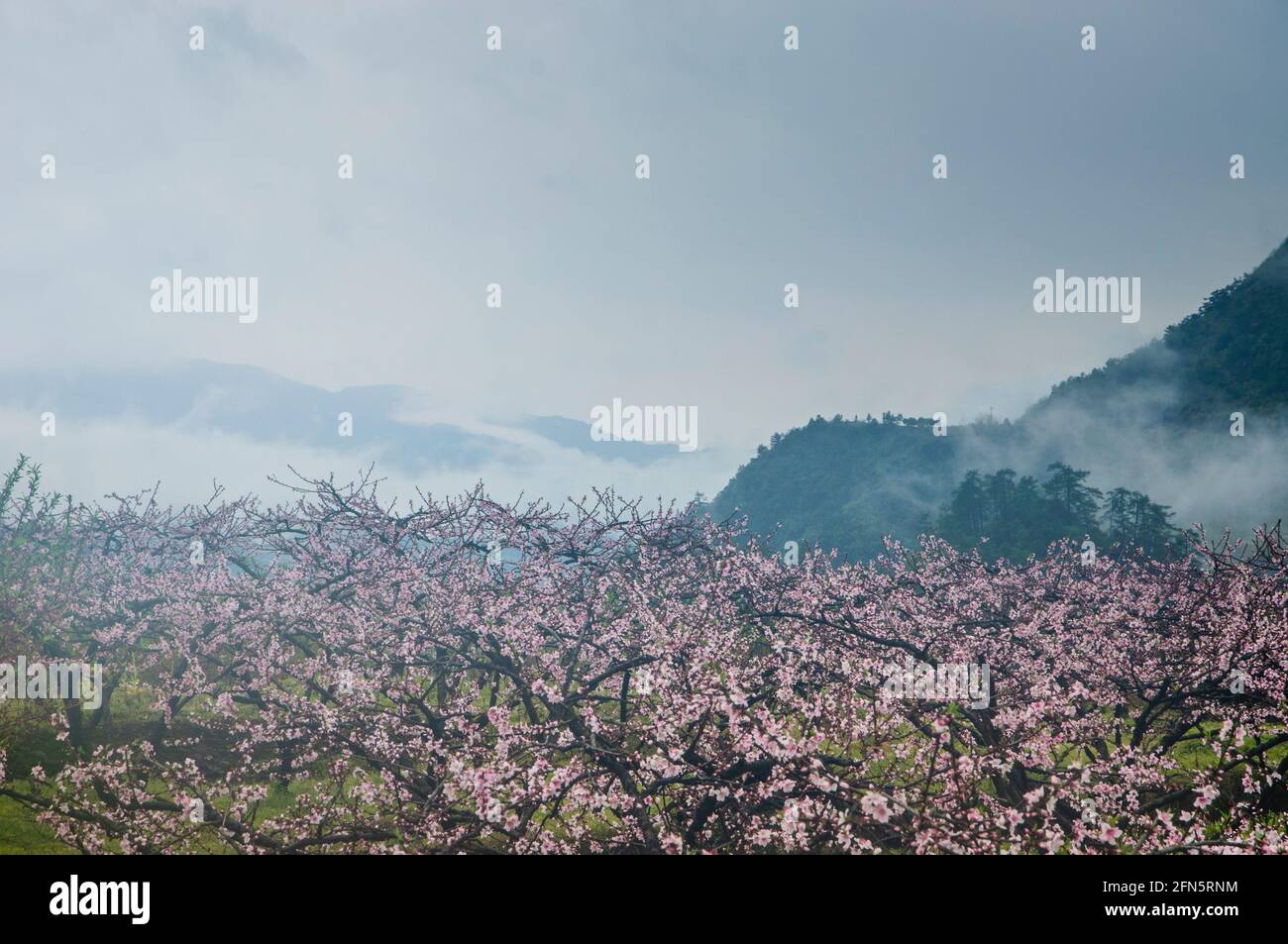 Mountain scenery in spring Stock Photo - Alamy