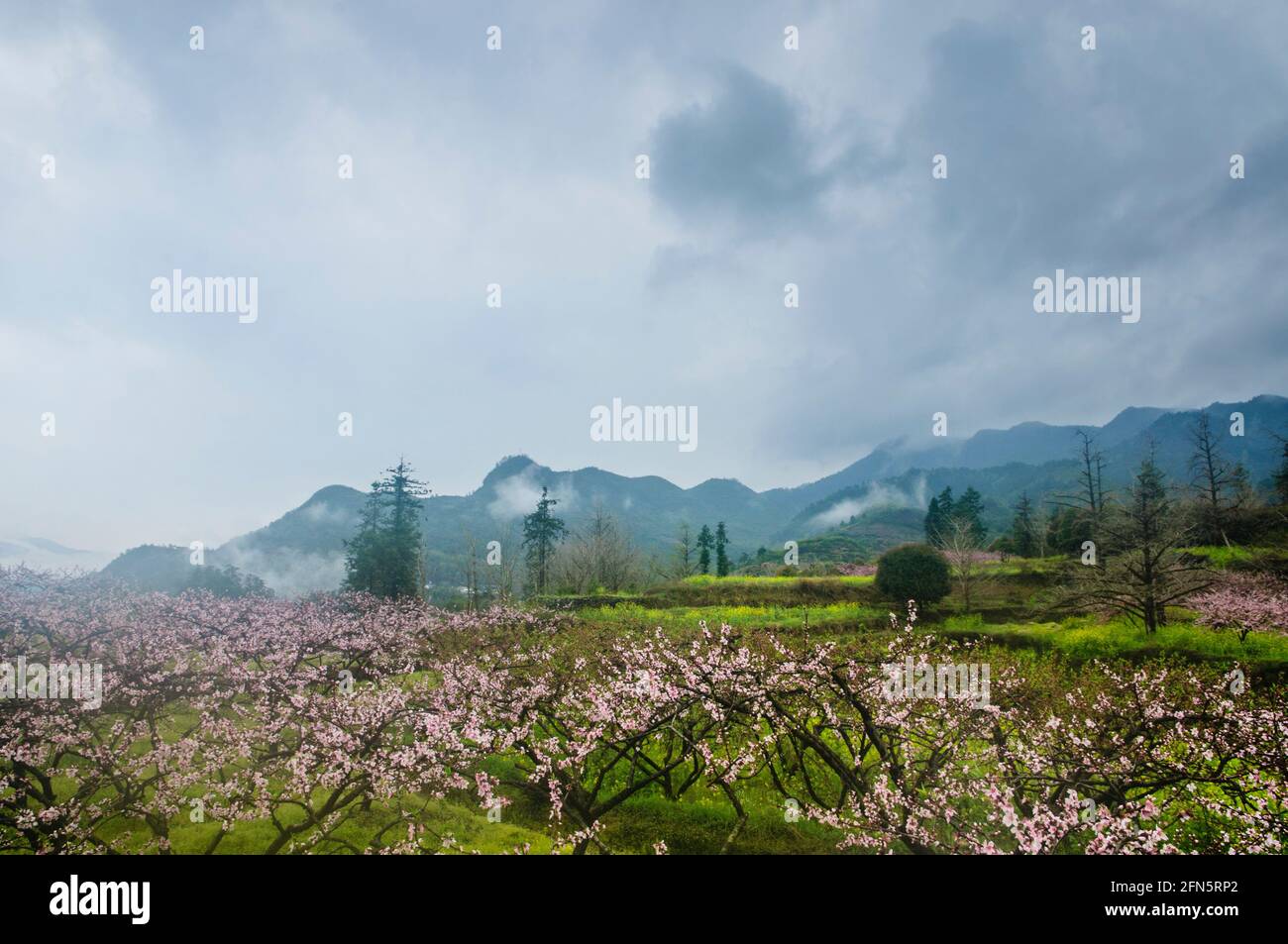 March scenery hi-res stock photography and images - Alamy