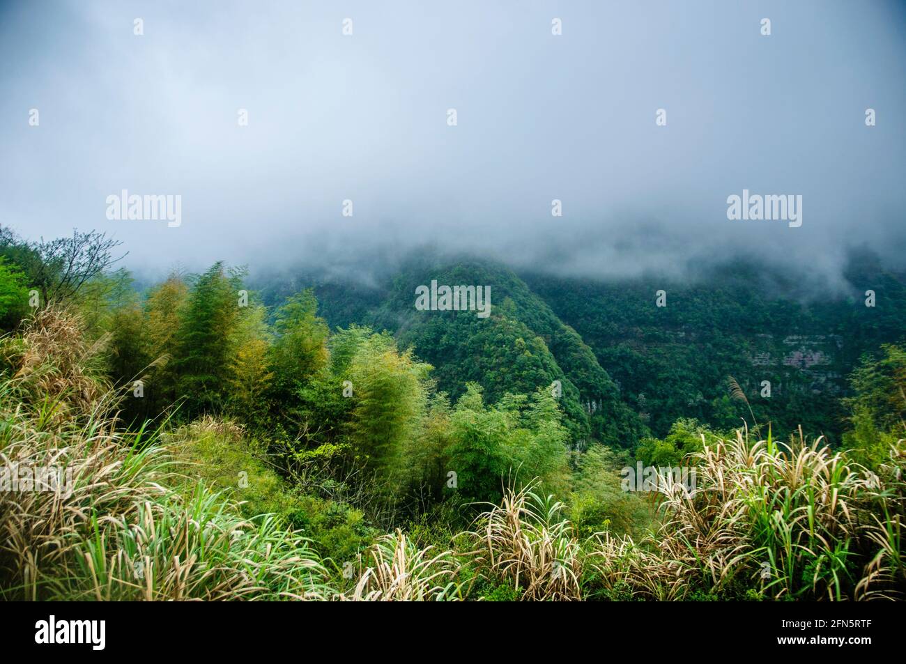 Mountain scenery in spring Stock Photo - Alamy