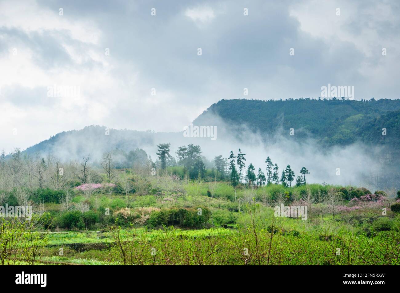 Mountain scenery in spring Stock Photo - Alamy
