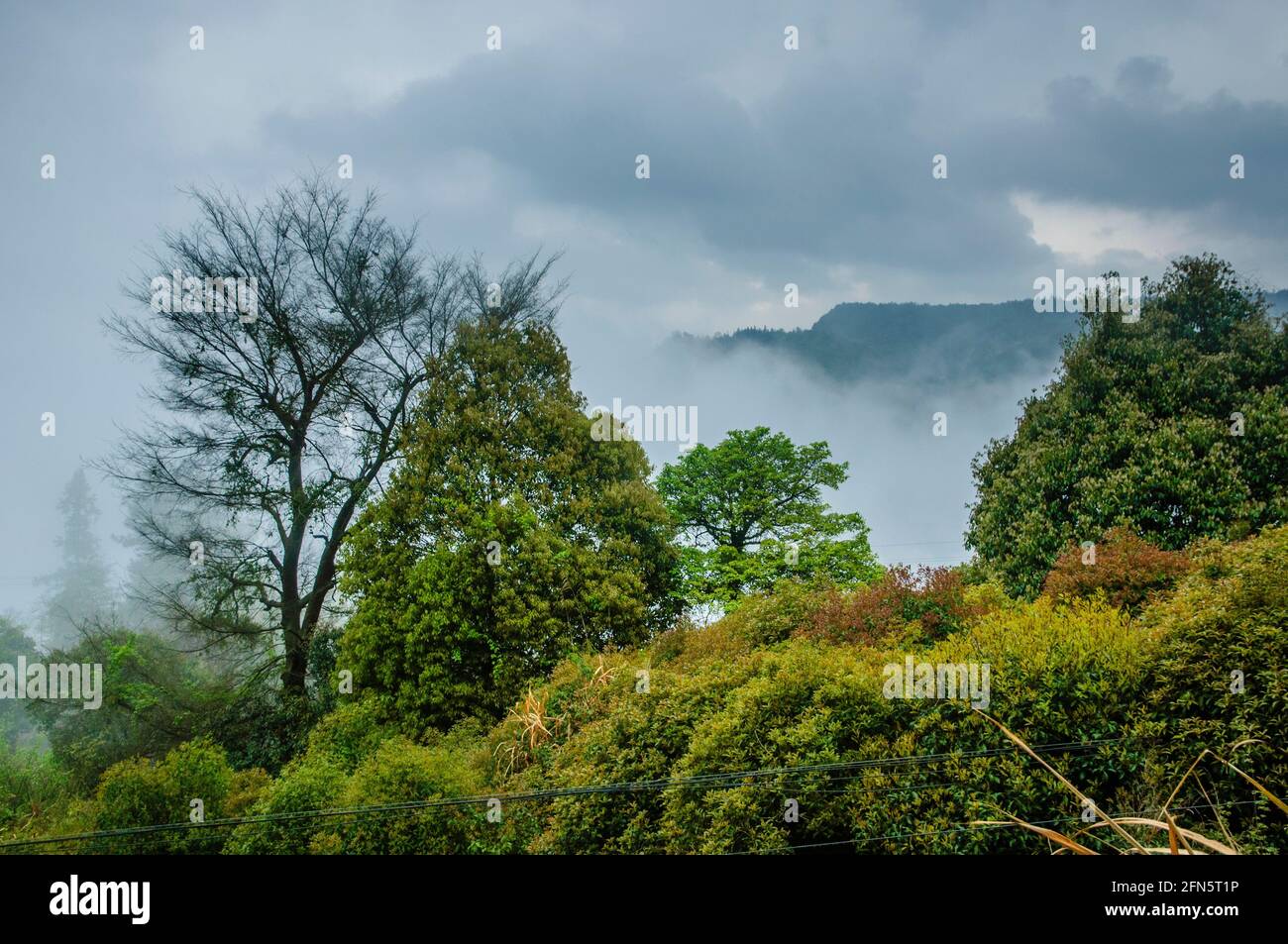 Mountain scenery in spring Stock Photo - Alamy