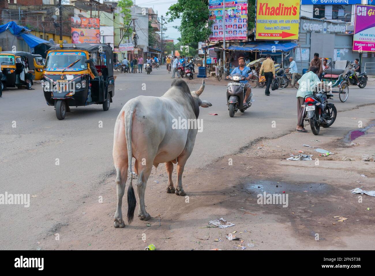 Odisha tour hi-res stock photography and images - Alamy