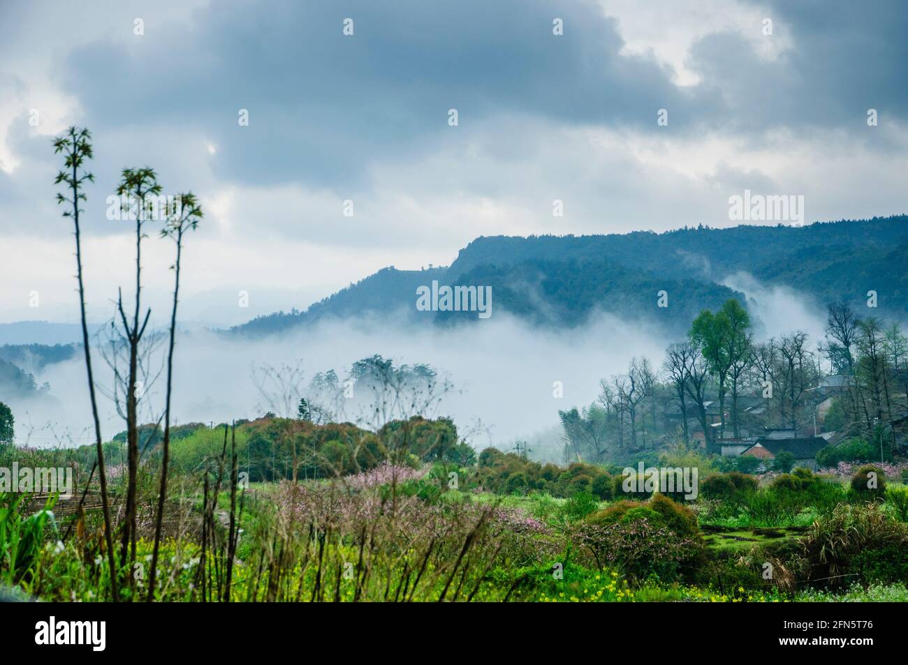 Mountain scenery in spring Stock Photo - Alamy