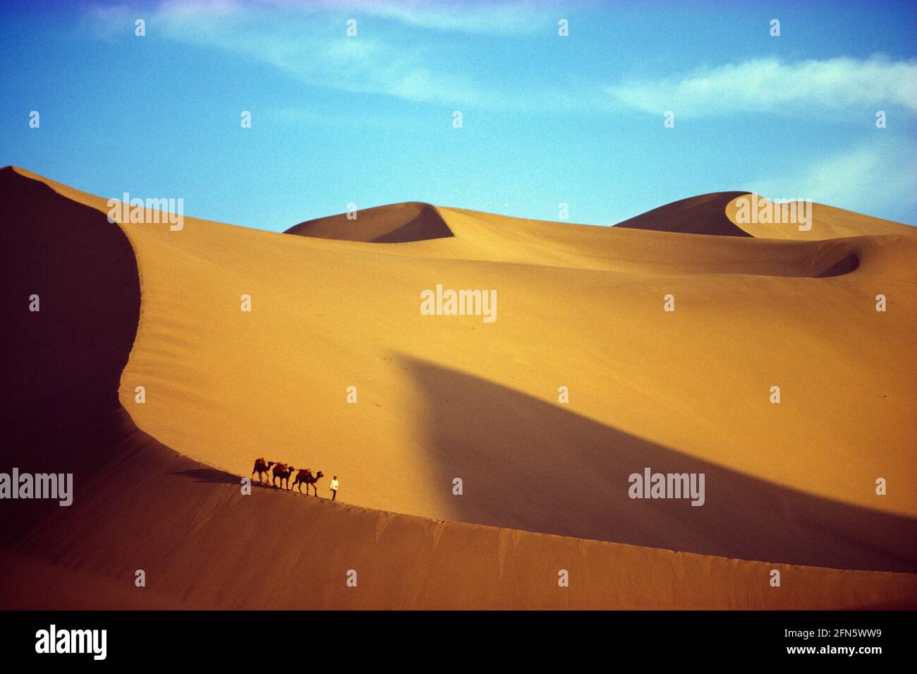 Camel train silk road hi-res stock photography and images - Alamy