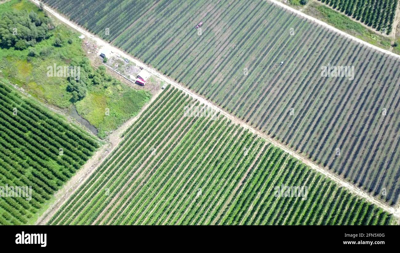 Apple orchard bloom drone hi-res stock photography and images - Alamy