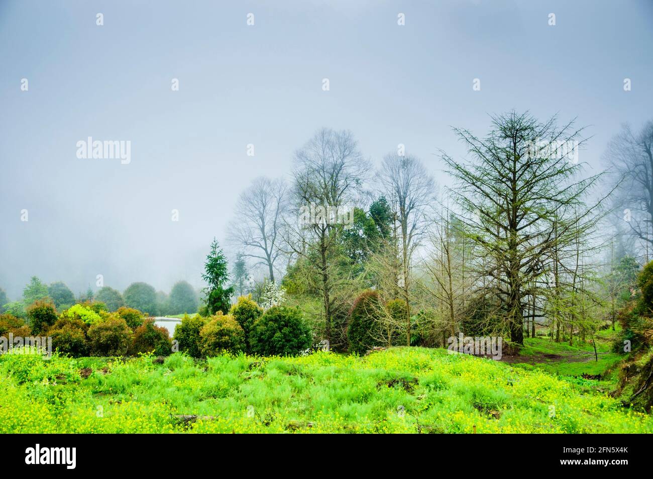 Mountain scenery in spring Stock Photo - Alamy
