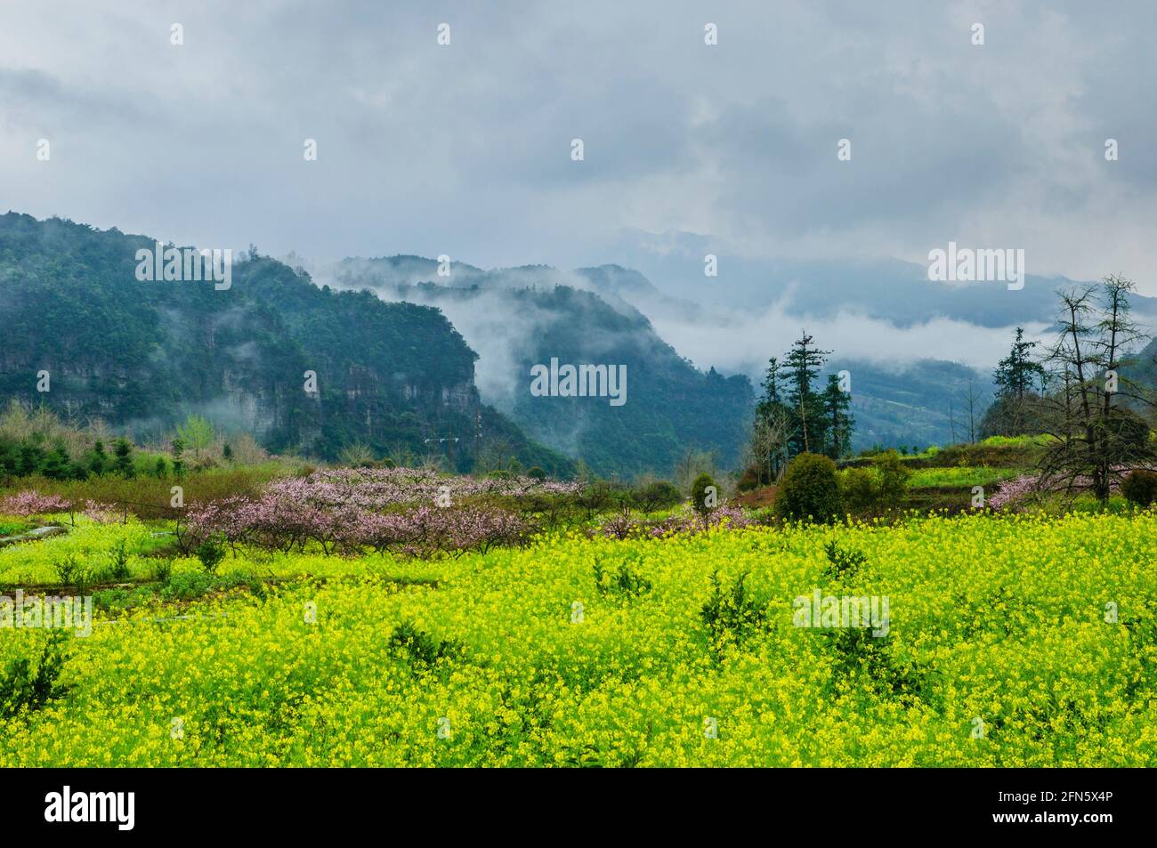 Mountain scenery in spring Stock Photo - Alamy