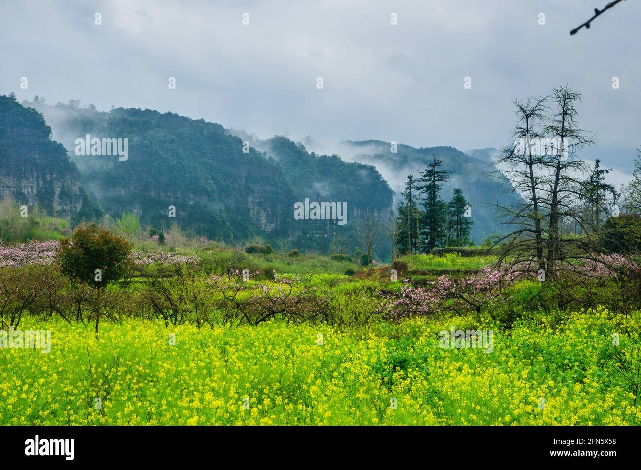 Mountain scenery in spring Stock Photo - Alamy