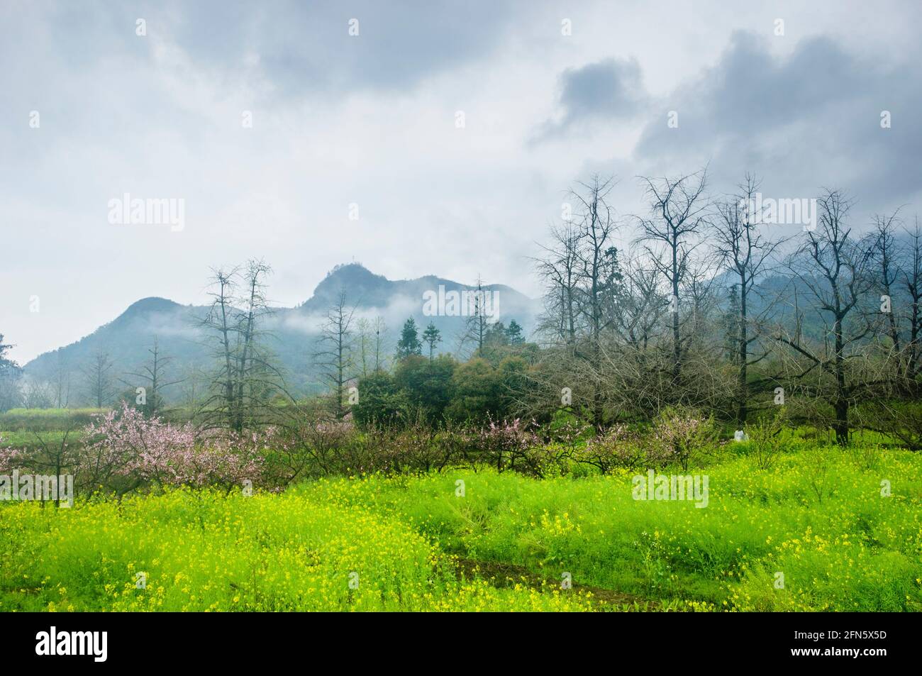 Mountain scenery in spring Stock Photo - Alamy