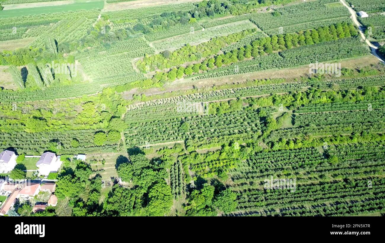 Apple orchard bloom drone hi-res stock photography and images - Alamy