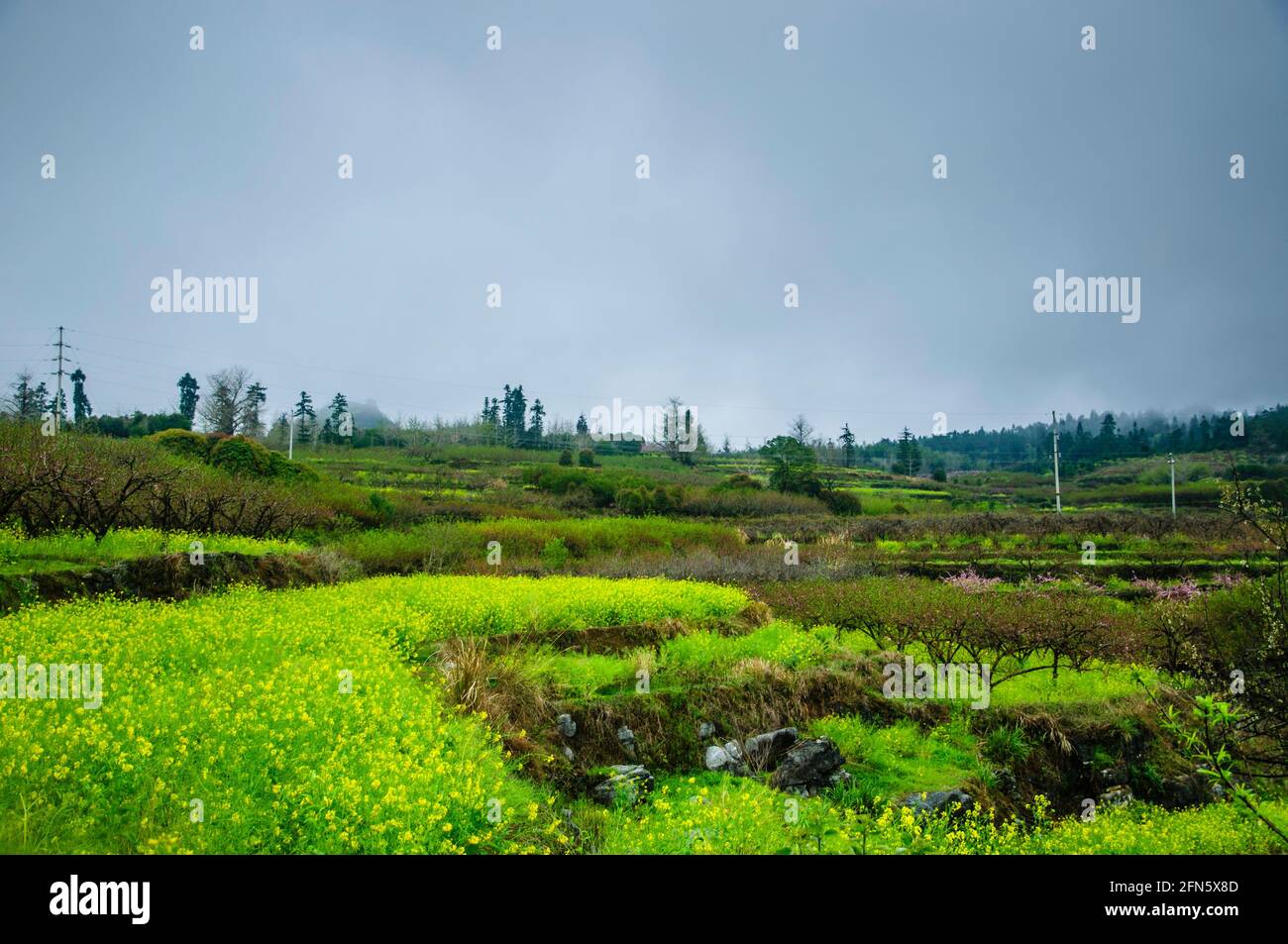 Mountain scenery in spring Stock Photo - Alamy