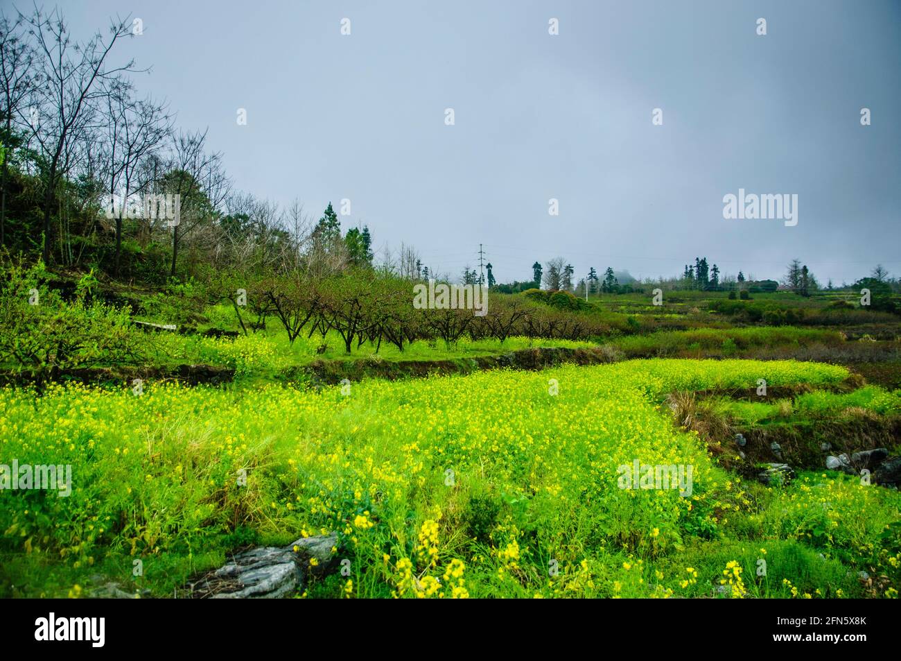 Mountain scenery in spring Stock Photo - Alamy