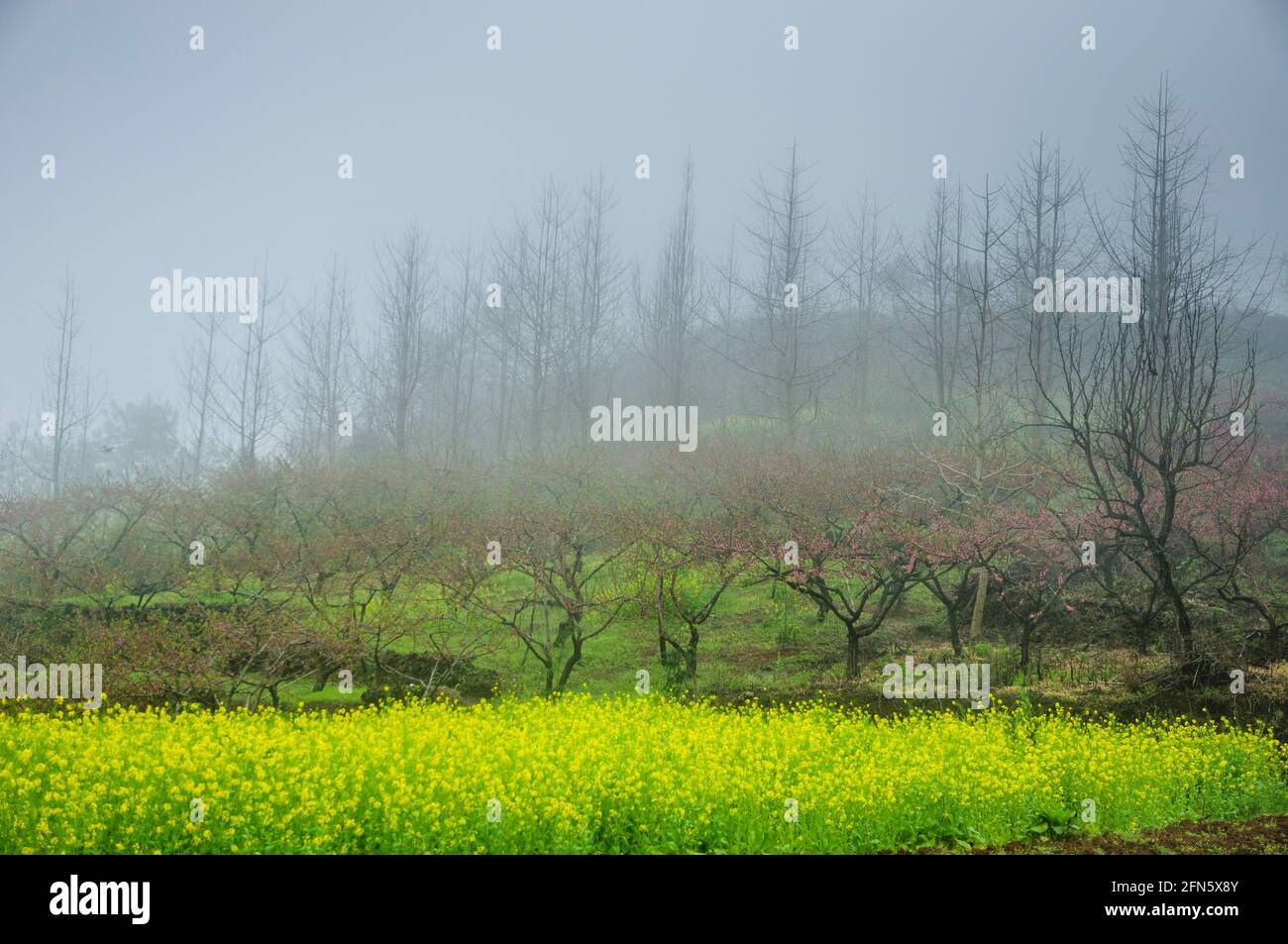 Mountain scenery in spring Stock Photo - Alamy