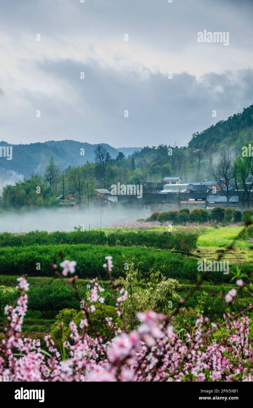 Mountain scenery in spring Stock Photo - Alamy
