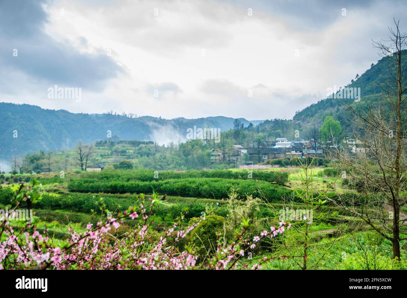 Mountain scenery in spring Stock Photo - Alamy