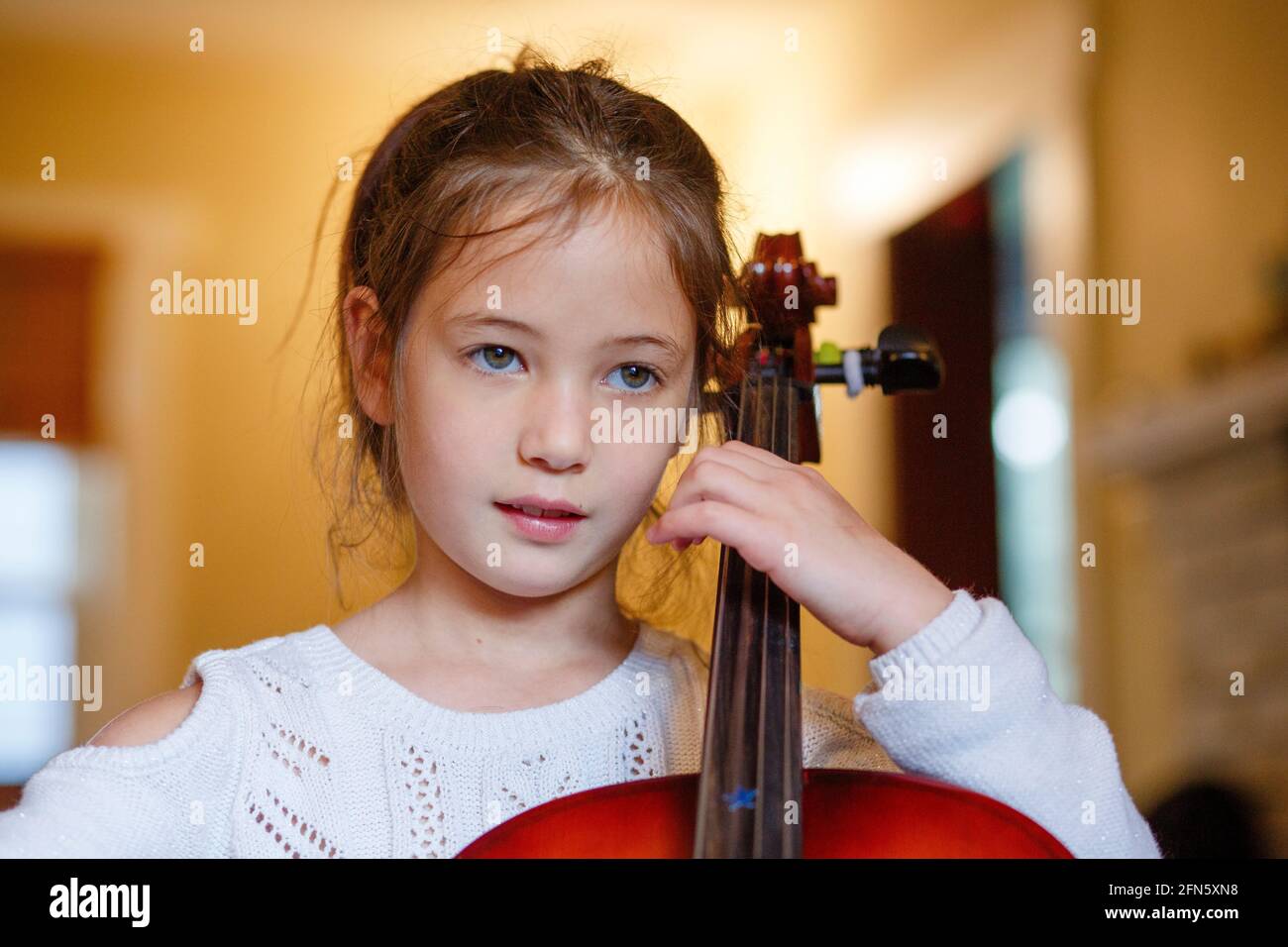 Cello head hi-res stock photography and images - Alamy