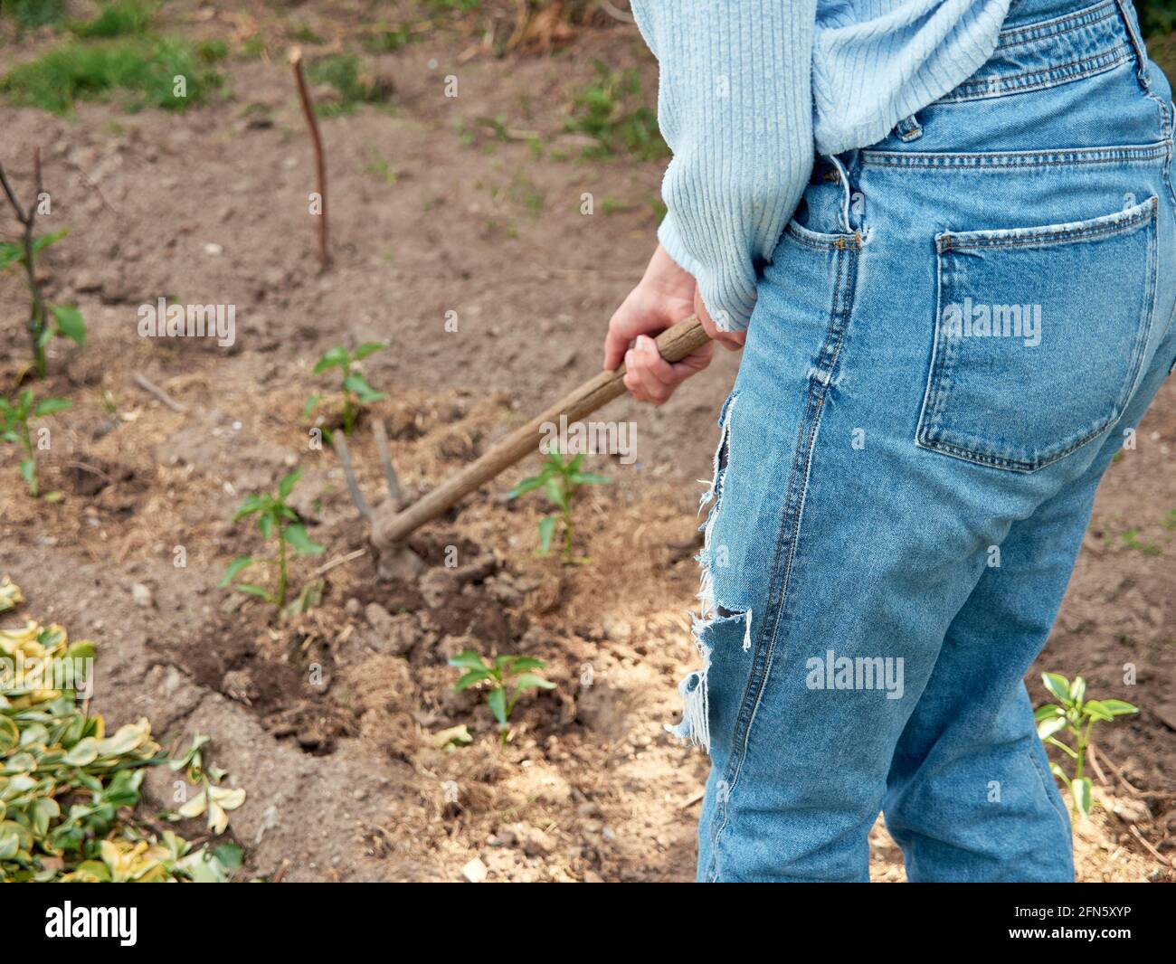 Hoeing High Resolution Stock Photography and Images - Alamy