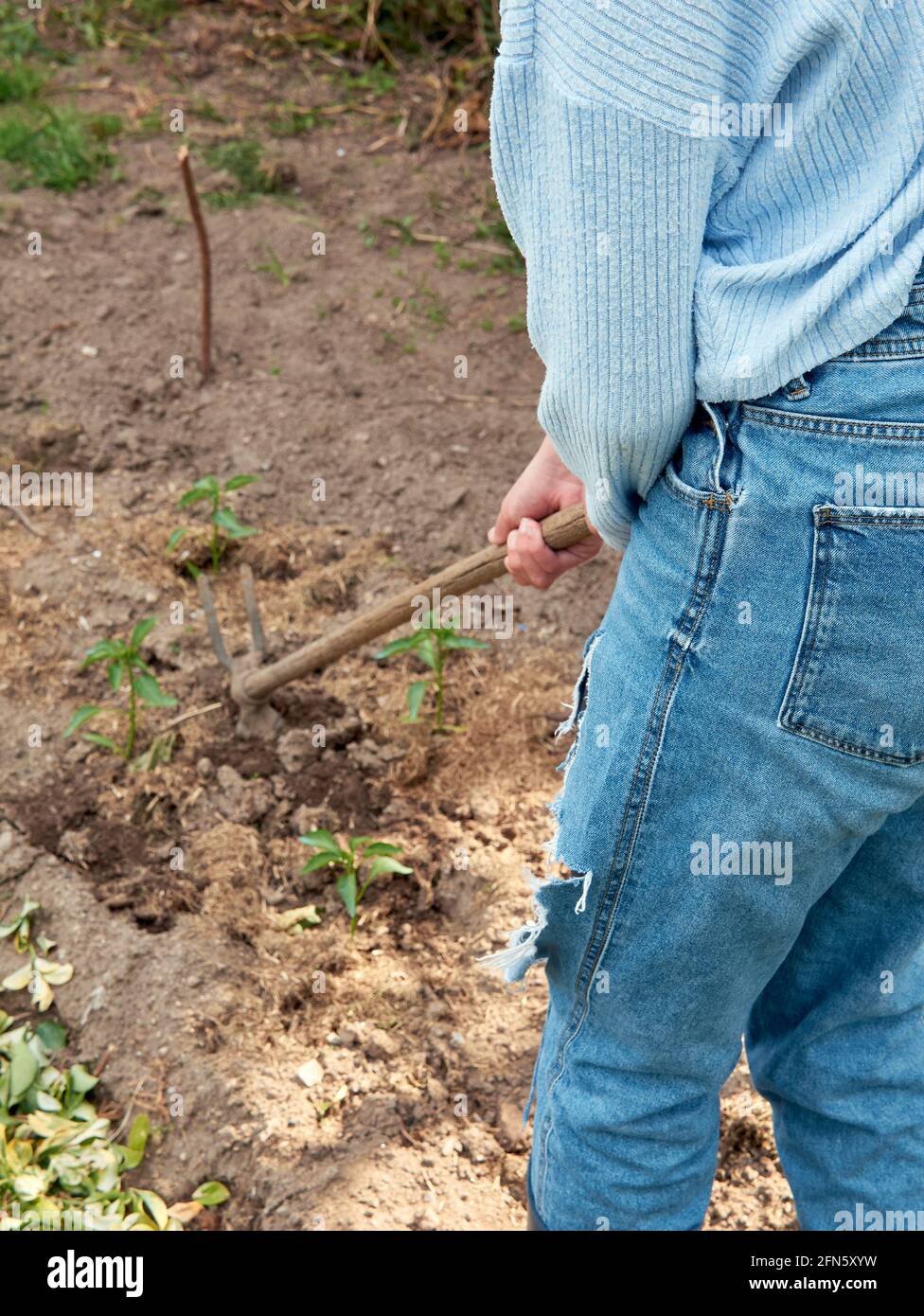 Hoeing Garden High Resolution Stock Photography and Images - Alamy