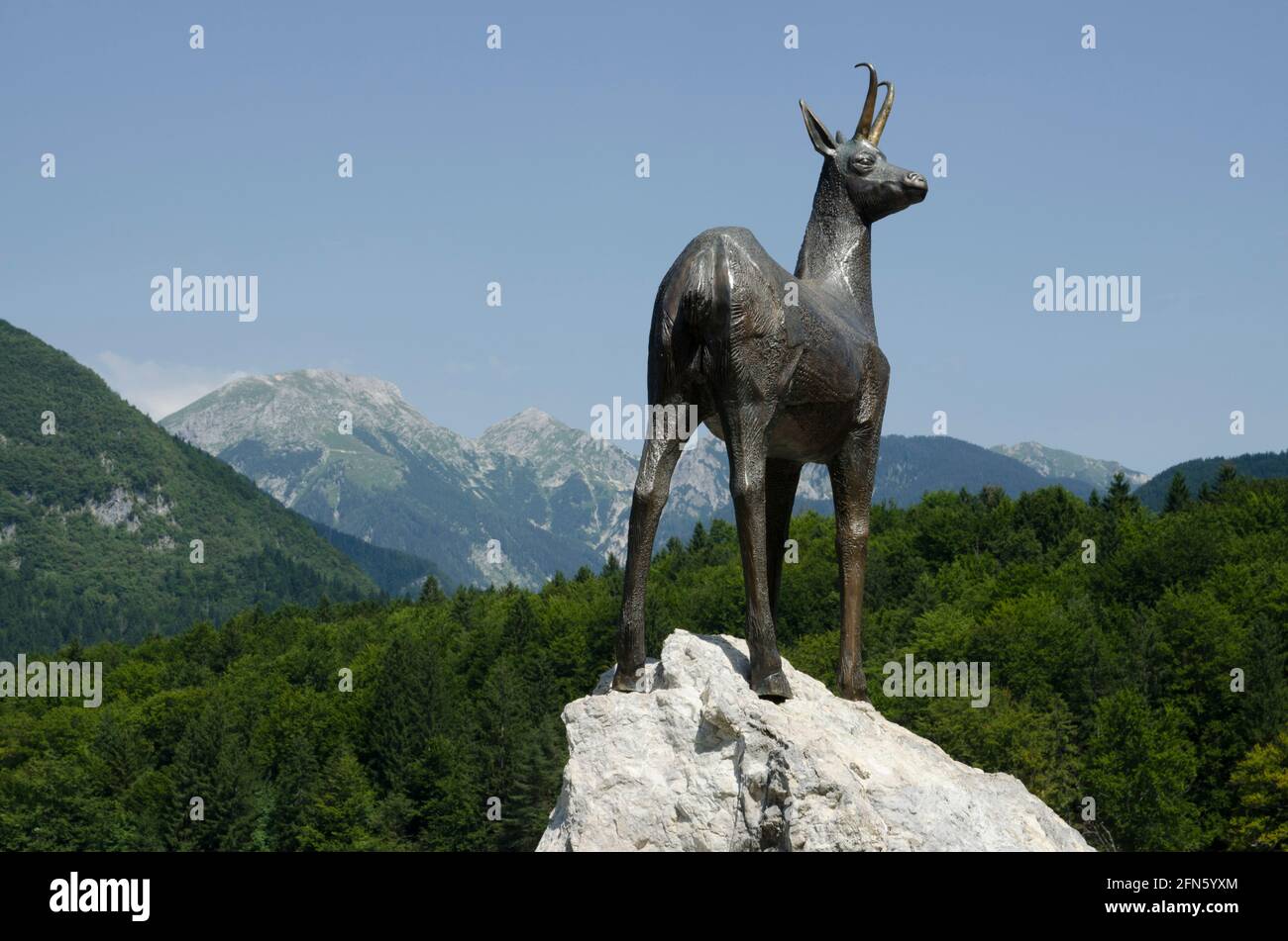Gold horn hi-res stock photography and images - Alamy