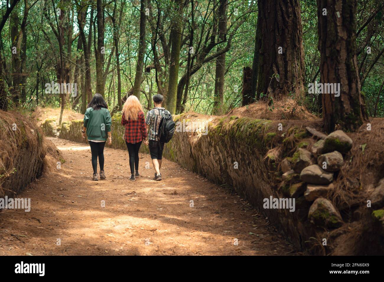 Three friends walking down an old road with their backs to the camera ...