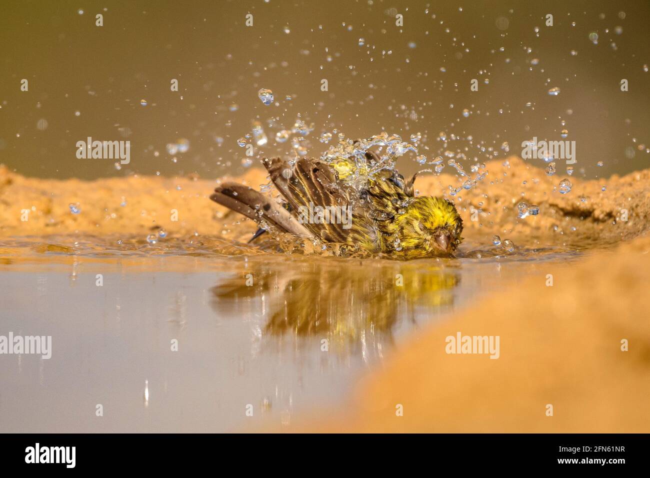 Batea de agua hi-res stock photography and images - Alamy
