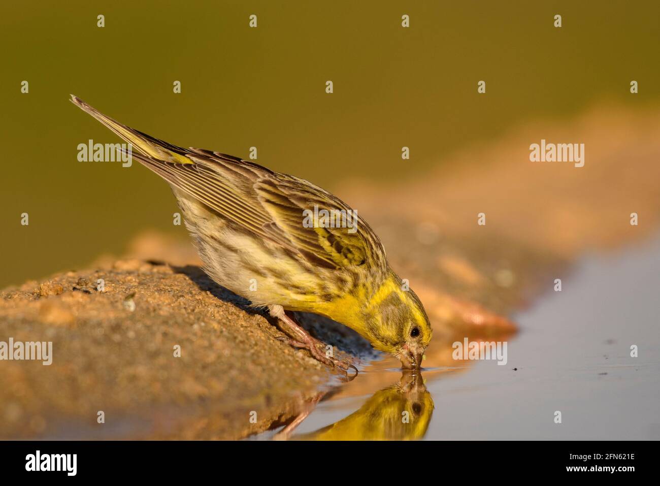 Batea de agua hi-res stock photography and images - Alamy